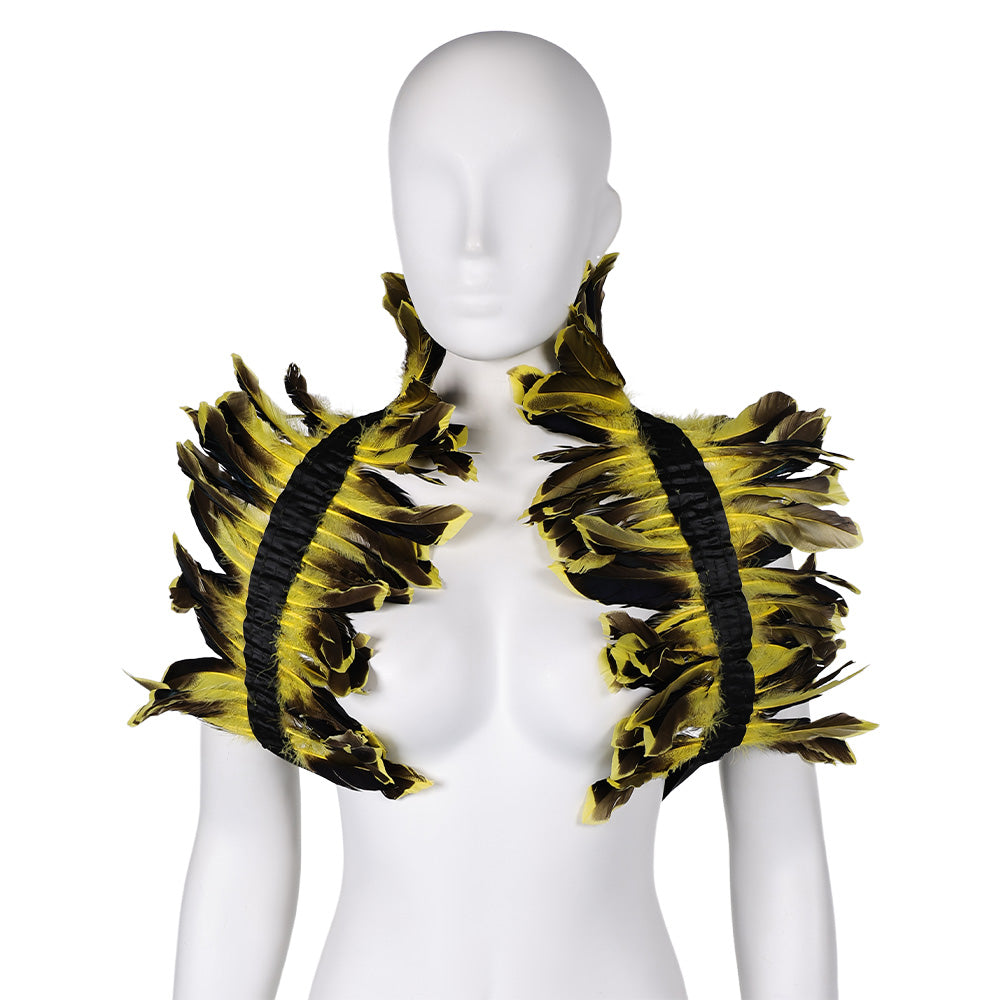 Stage Performance Costumes: Feather Cape Feather Cosplay Costume ...